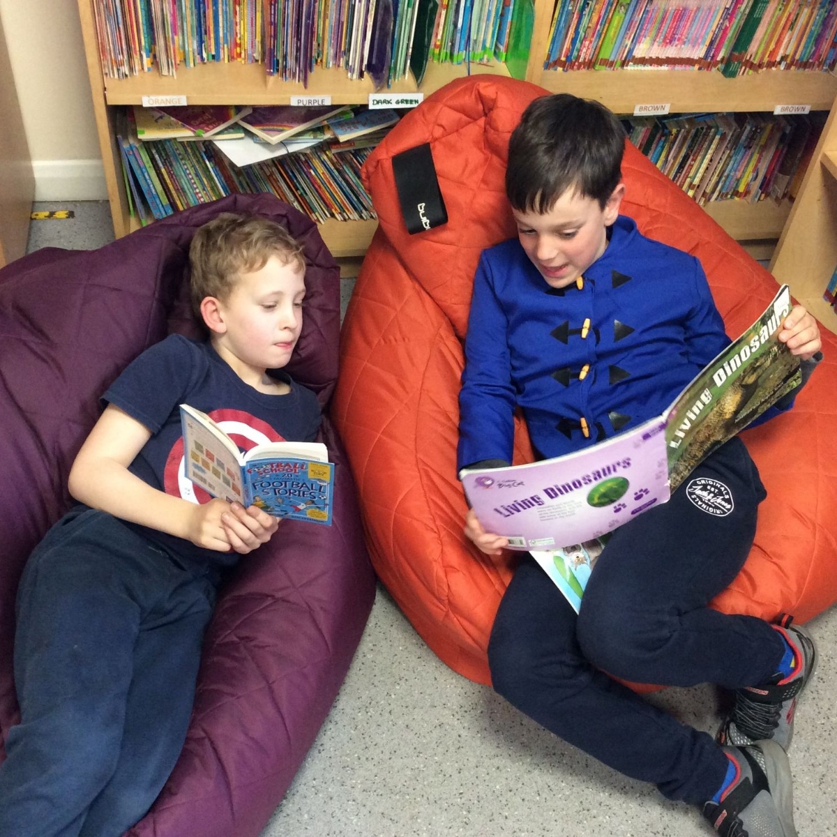 Halam C of E Primary School - World Book Day